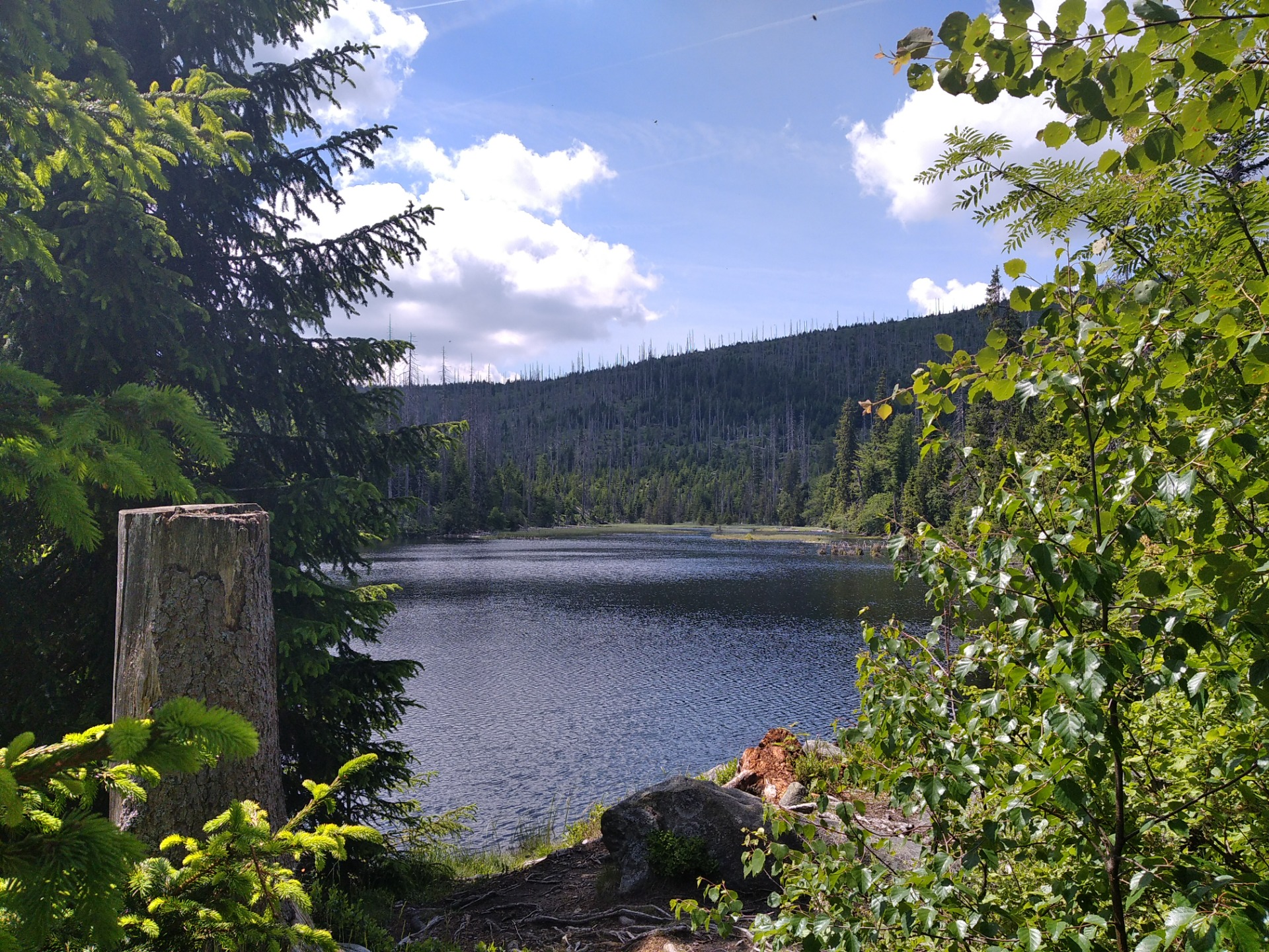 Ubytování Hartmanice